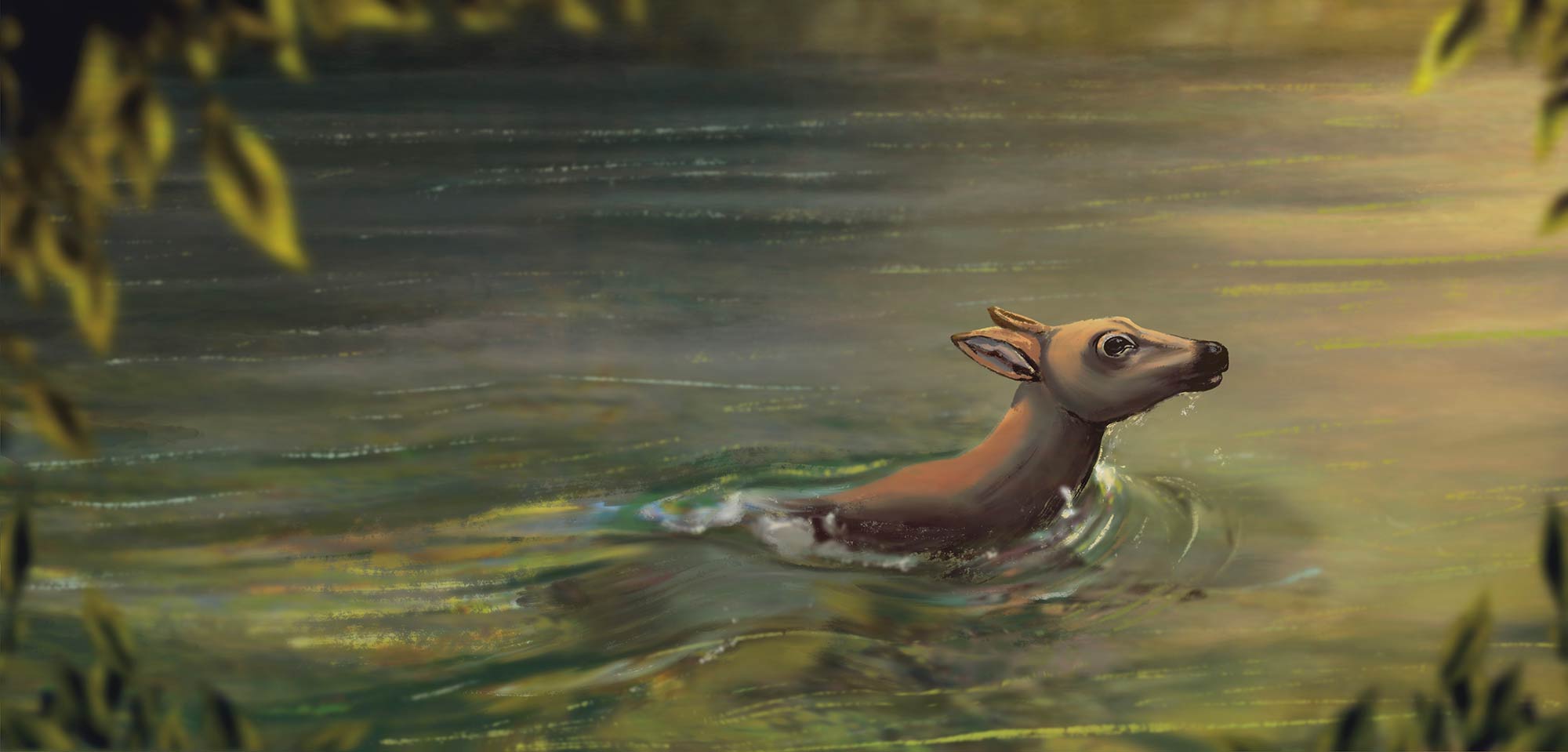 Morning Swim - Write Place